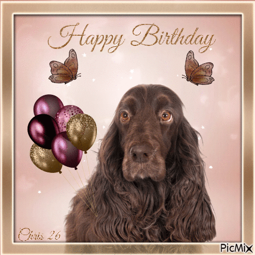 Happy Birthday Gif With Cocker Spaniel Pictures, Photos, and Images for ...