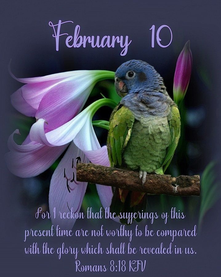 February 10 Pictures, Photos, and Images for Facebook, Tumblr ...