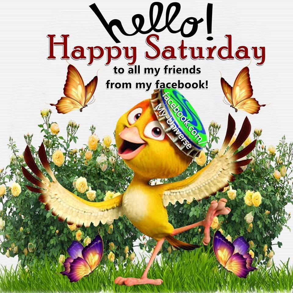 Hello Happy Saturday Pictures Photos And Images For Facebook Tumblr