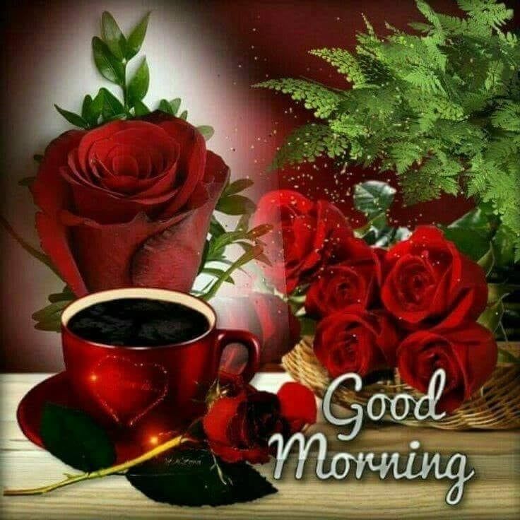 Good Morning Coffee & Red Roses Pictures, Photos, and Images for ...