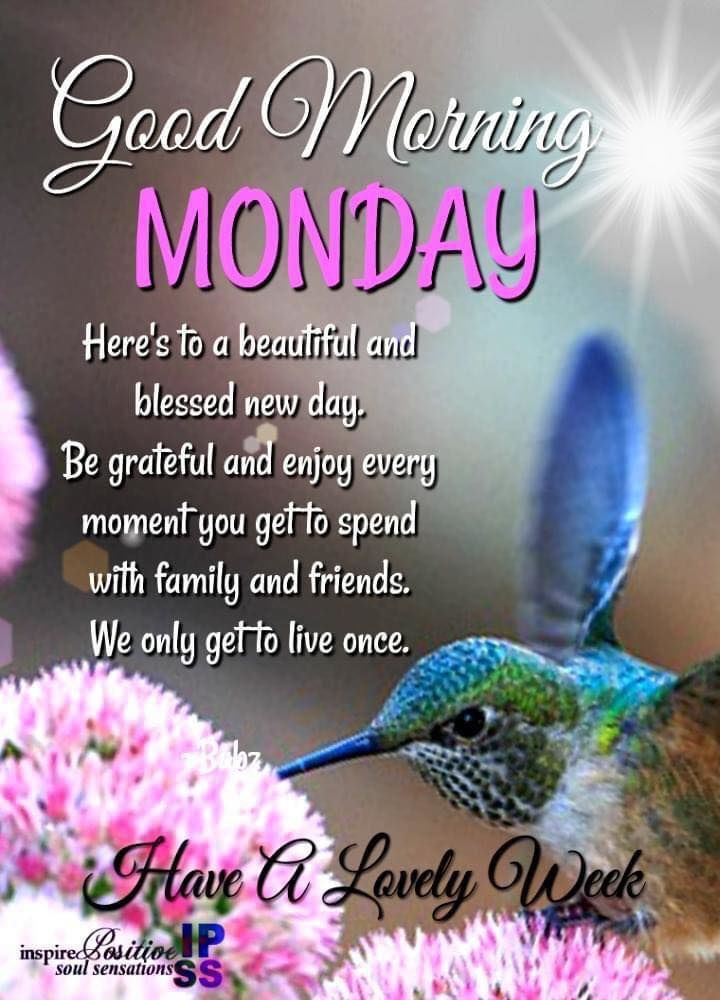Here's To A Beautiful And Blessed New Day. Good Morning Monday Pictures ...