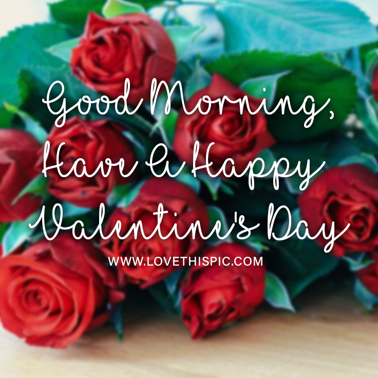 Love Roses - Good Morning, Have A Happy Valentine's Day Pictures ...