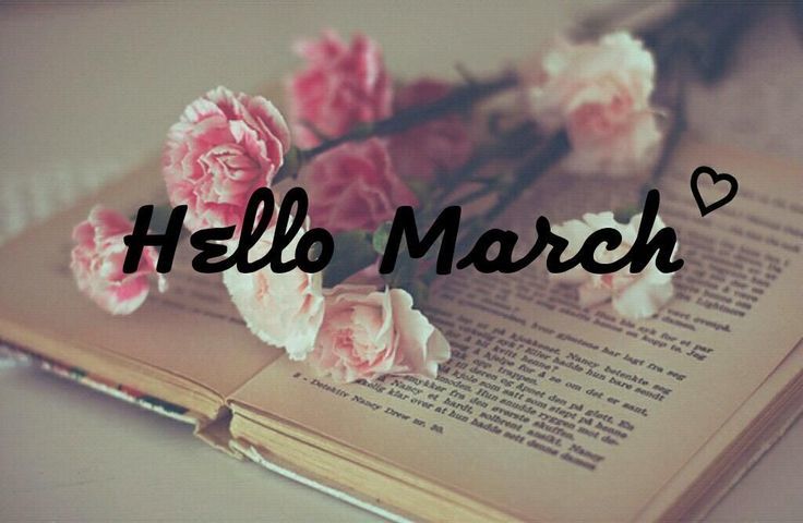 Hello March Quote With Roses And Book Pictures, Photos, and Images for ...