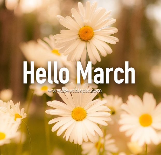 Daisy Field Hello March Quote Pictures, Photos, and Images for Facebook ...