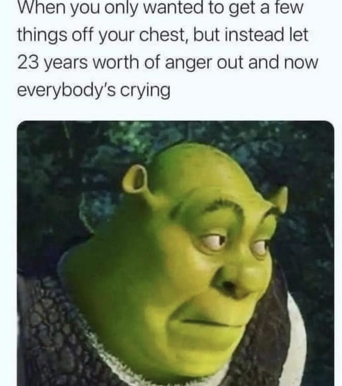 When You Only Wanted To Get A Few Things Off Your Chest Pictures when-you-only-wanted-to-get-a-few-things-off-your-chest-pictures