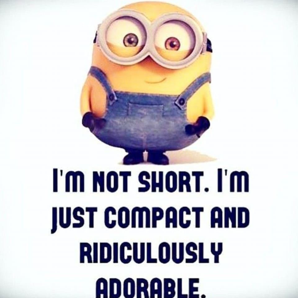 I'm Not Short. I'm Just Compact And Ridiculously Adorable Pictures ...