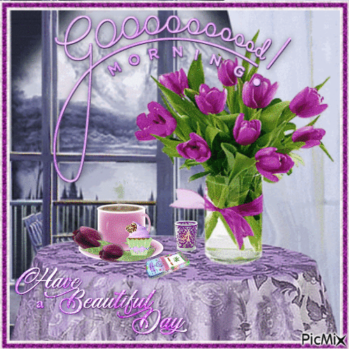 Good Morning, Have A Beautiful Day Pictures, Photos, and Images for ...