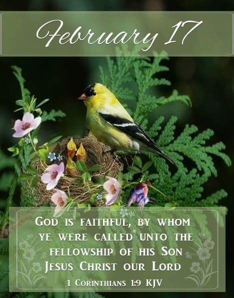 February 17 Pictures, Photos, and Images for Facebook, Tumblr ...