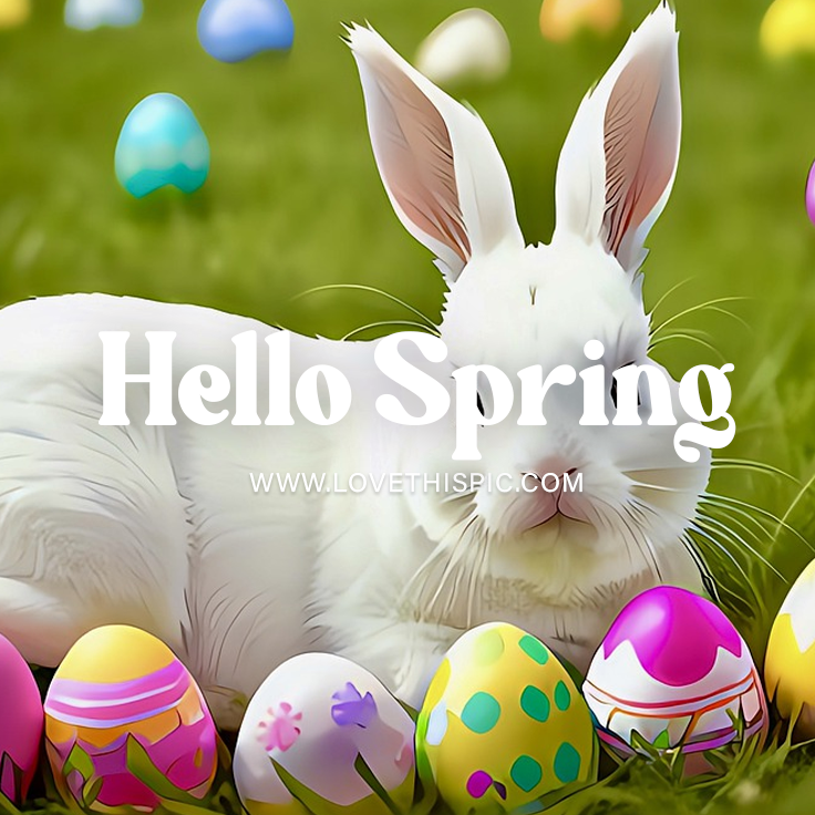 Hello Spring Easter Bunny Quote Pictures, Photos, and Images for ...