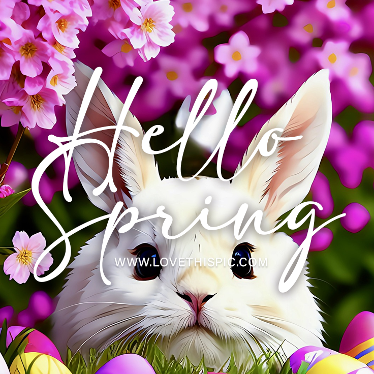 Easter Bunny With Eggs - Hello Spring Pictures, Photos, and Images for ...