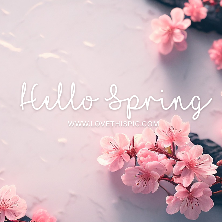 Cherry Blossom Hello Spring Quote (2023) Pictures, Photos, and Images ...