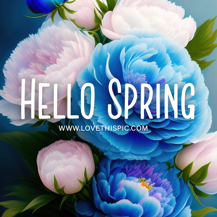 White And Blue Peonies - Hello Spring Pictures, Photos, and Images for ...