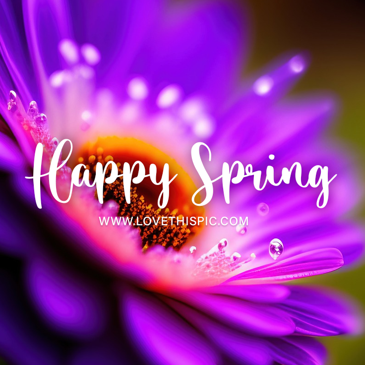 Violet Flower - Happy Spring Pictures, Photos, and Images for Facebook ...