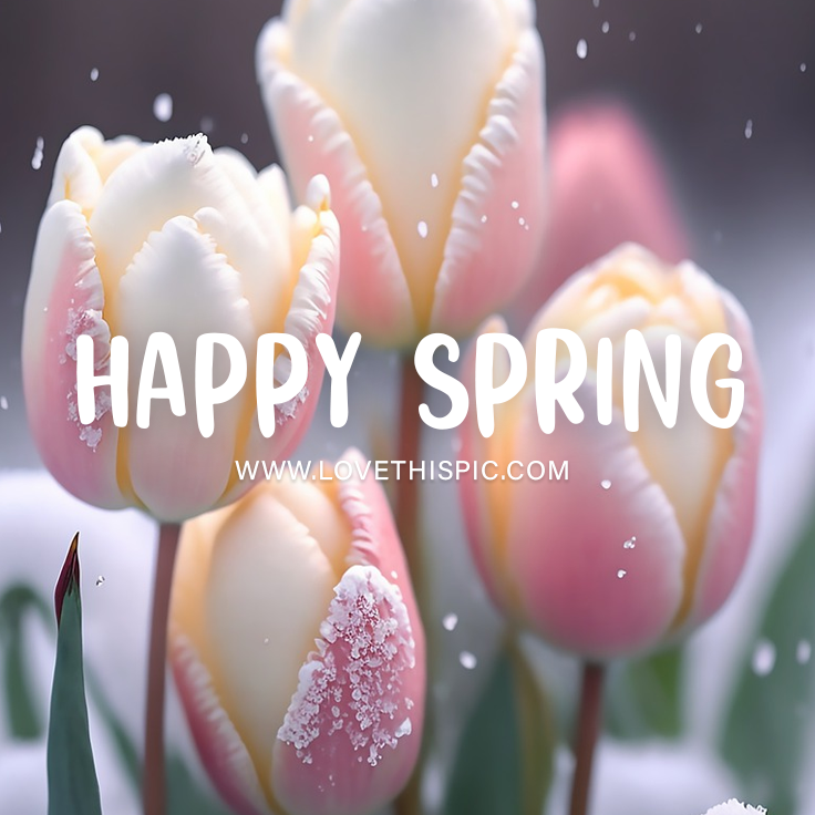 Happy Spring Pictures With Snow