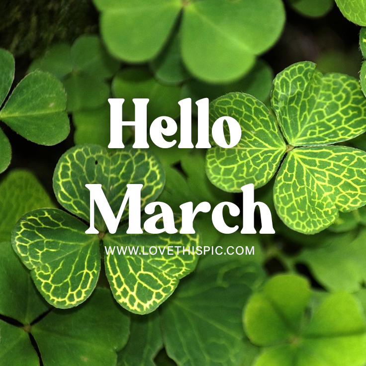 Hello March Shamrock Quote Pictures, Photos, and Images for Facebook ...