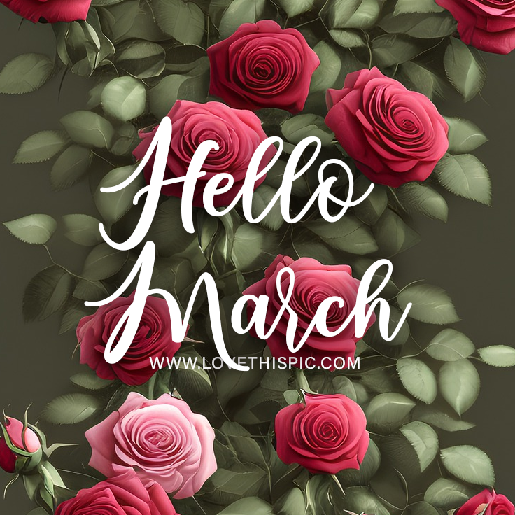 Rose Flower - Hello March Pictures, Photos, and Images for Facebook ...