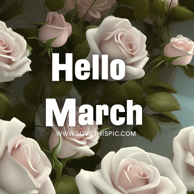 White Rose Hello March Quote Pictures, Photos, and Images for Facebook ...