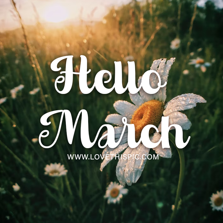 White Daisy Hello March Quote Pictures, Photos, and Images for Facebook ...