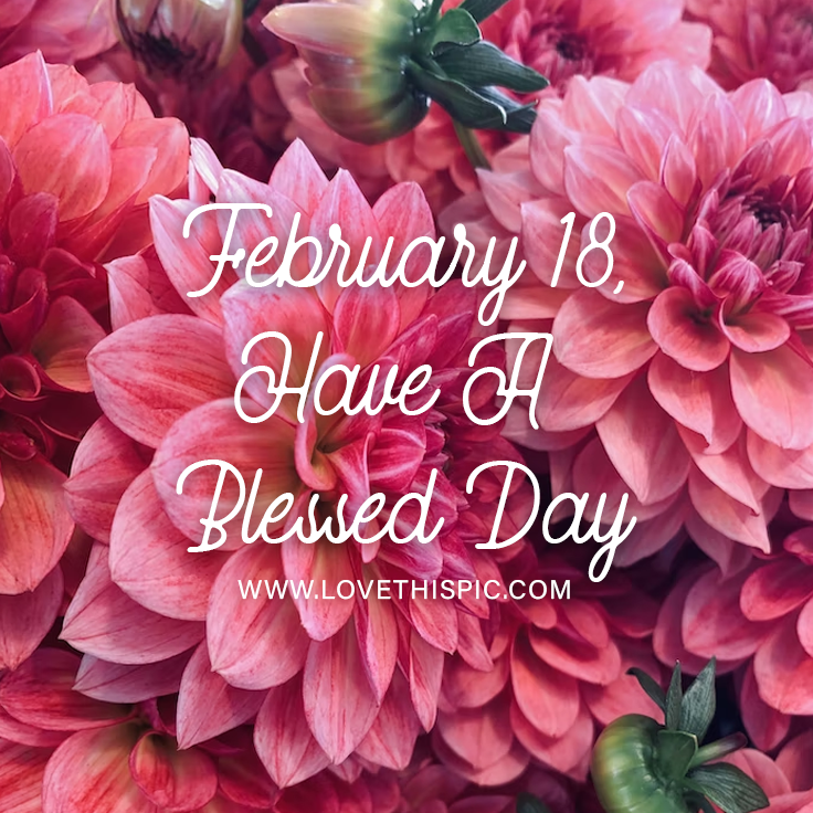 February 18, Have A Blessed Day Pictures, Photos, and Images for ...