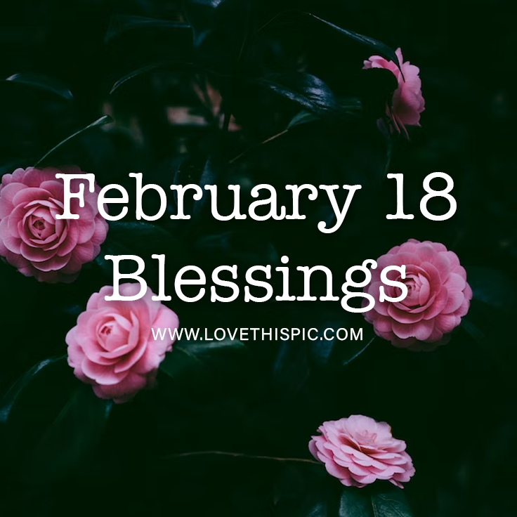 Pink Roses - February 18 Blessings Pictures, Photos, and Images for ...
