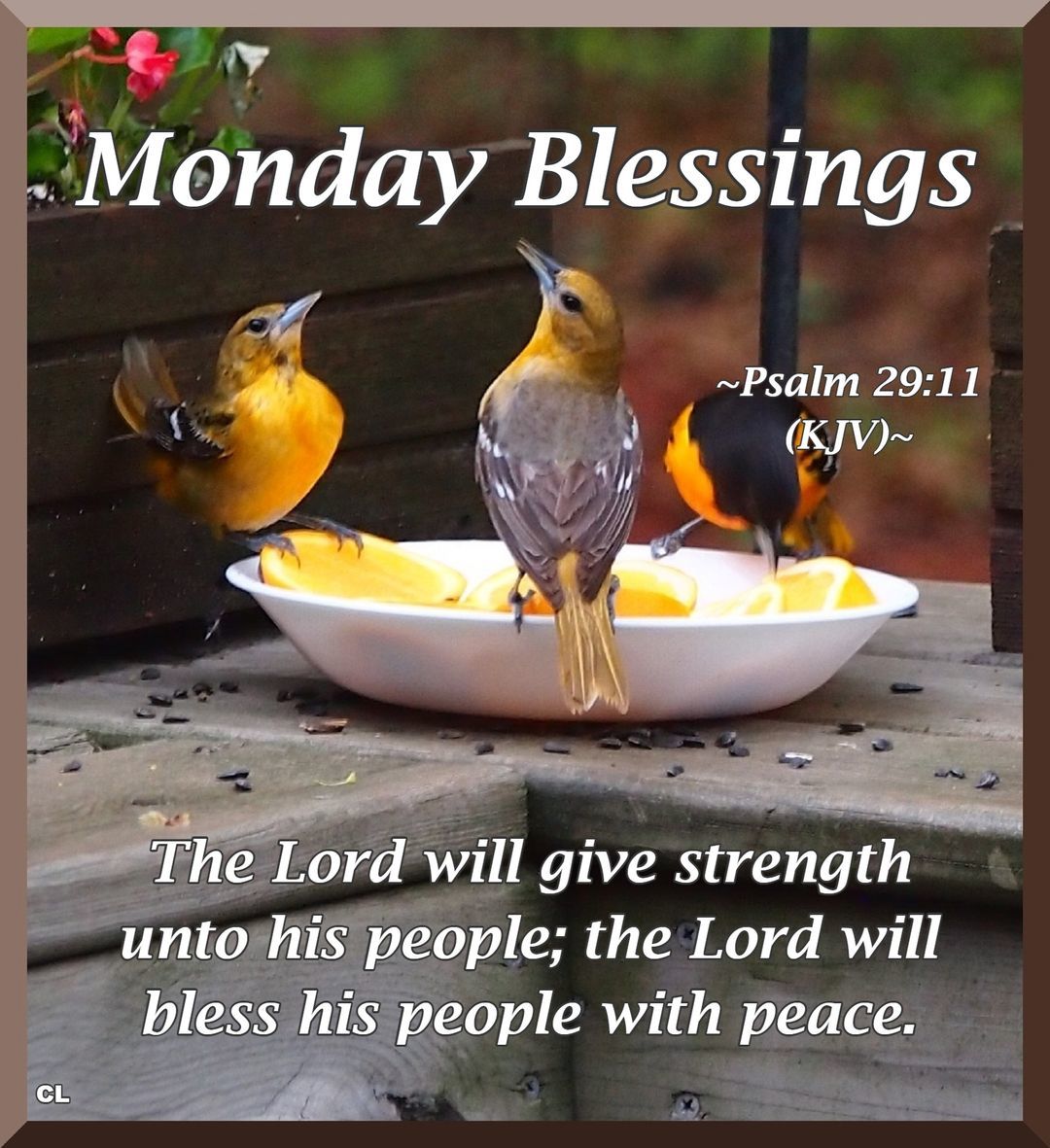 Monday Blessings: The Lord Will Give Strength Unto His People; The Lord ...