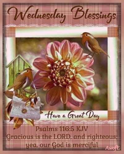 Wednesday Blessings: Gracious Is The Lord, And Righteous; Yea, Our God ...