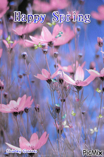 Pink Flower Happy Spring Gif Pictures, Photos, and Images for Facebook ...