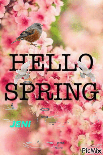 Hello Spring Cherry Blossom Gif Pictures, Photos, and Images for ...