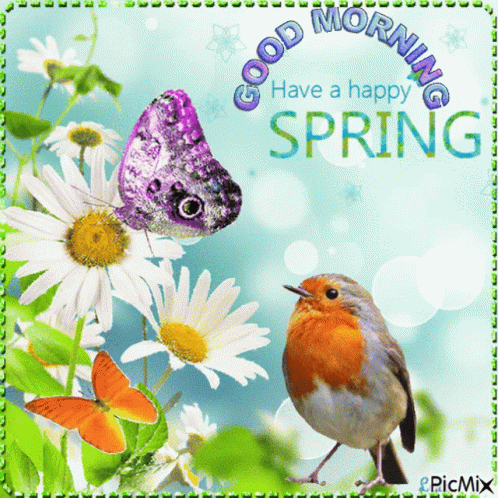Good Morning, Have A Happy Spring Pictures, Photos, and Images for ...