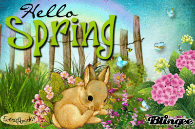 Hello Spring With Cute Bunny Pictures, Photos, and Images for Facebook ...
