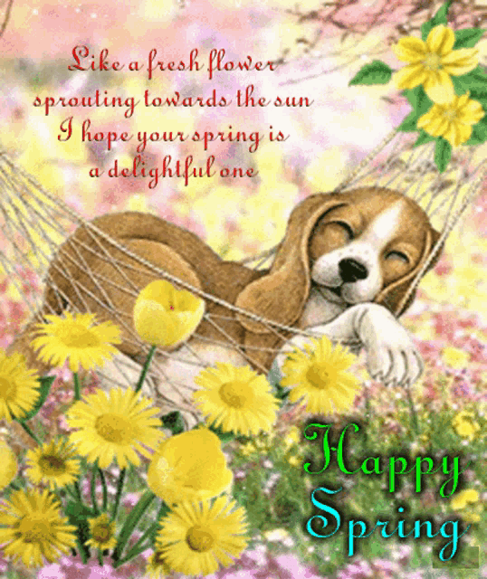 Like A Fresh Flower Sprouting Towards The Sun. I Hope Your Spring Is ...