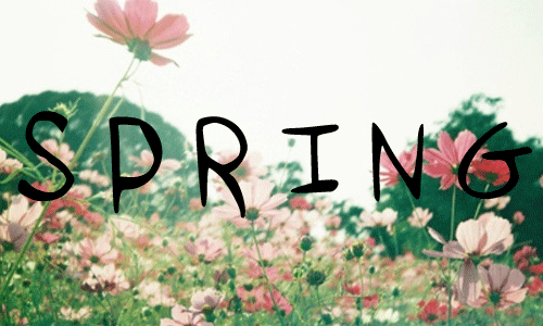 Floral Field Spring Gif Pictures, Photos, and Images for Facebook ...