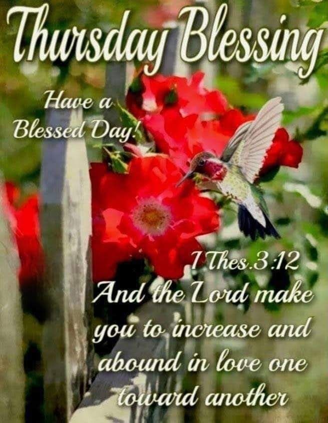 Thursday Blessing Pictures, Photos, and Images for Facebook, Tumblr ...