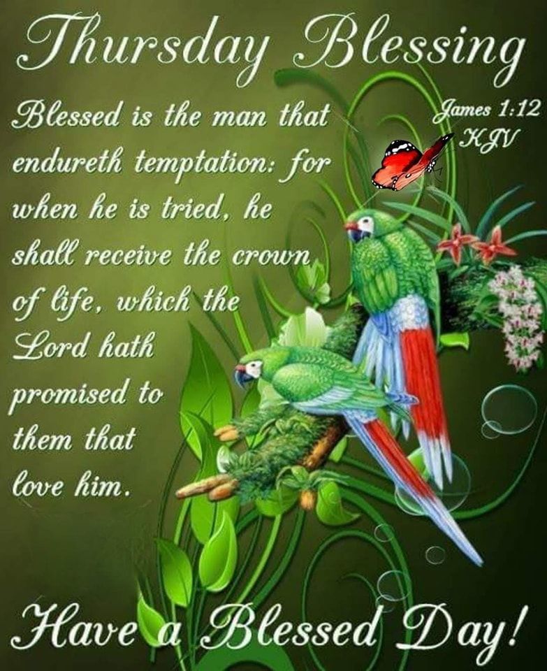 Green Bird Thursday Blessing Pictures, Photos, and Images for Facebook ...