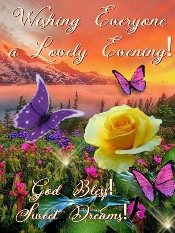 Wishing Everyone A Lovely Evening Pictures, Photos, and Images for ...