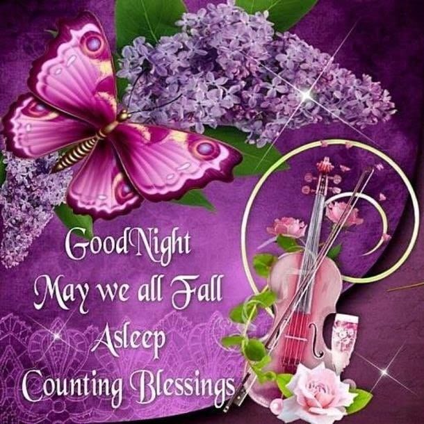 Good Night. May We All Fall Asleep Counting Blessings Pictures, Photos ...