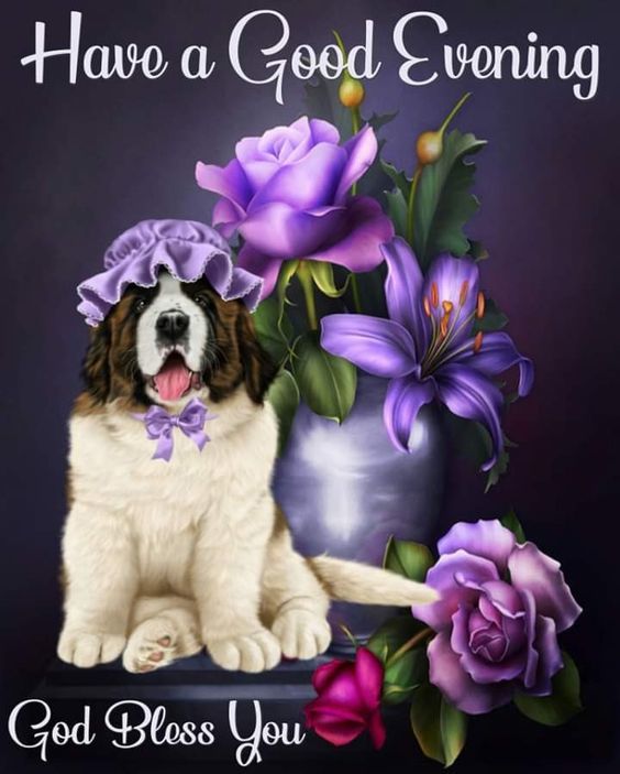 Good Evening Blessings For You Pictures, Photos, and Images for ...