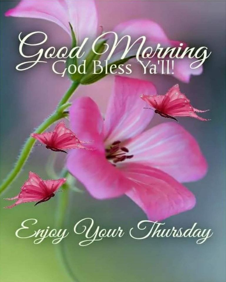 Good Morning, God Bless Y'all! Enjoy Your Thursday Pictures, Photos ...