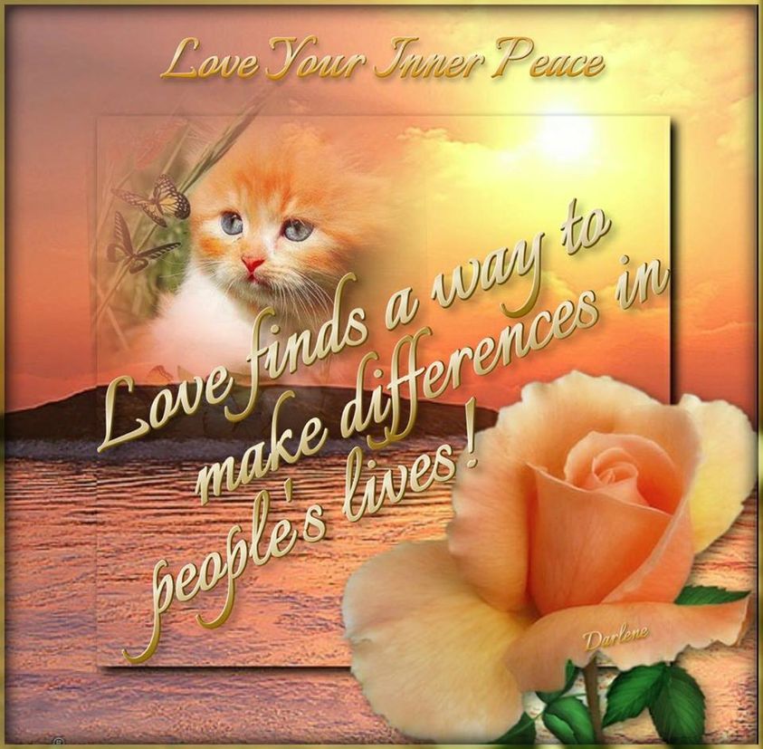 Love Finds A Way To Make Differences To People's Lives! Pictures ...