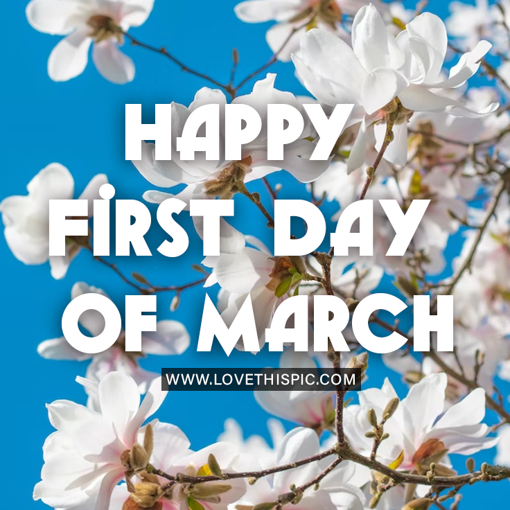 First Day Of March Quote With White Cherry Blossoms Pictures, Photos ...