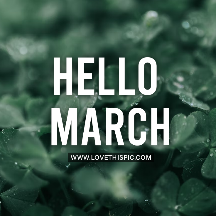 Wet Green Clovers - Hello March Pictures, Photos, and Images for ...