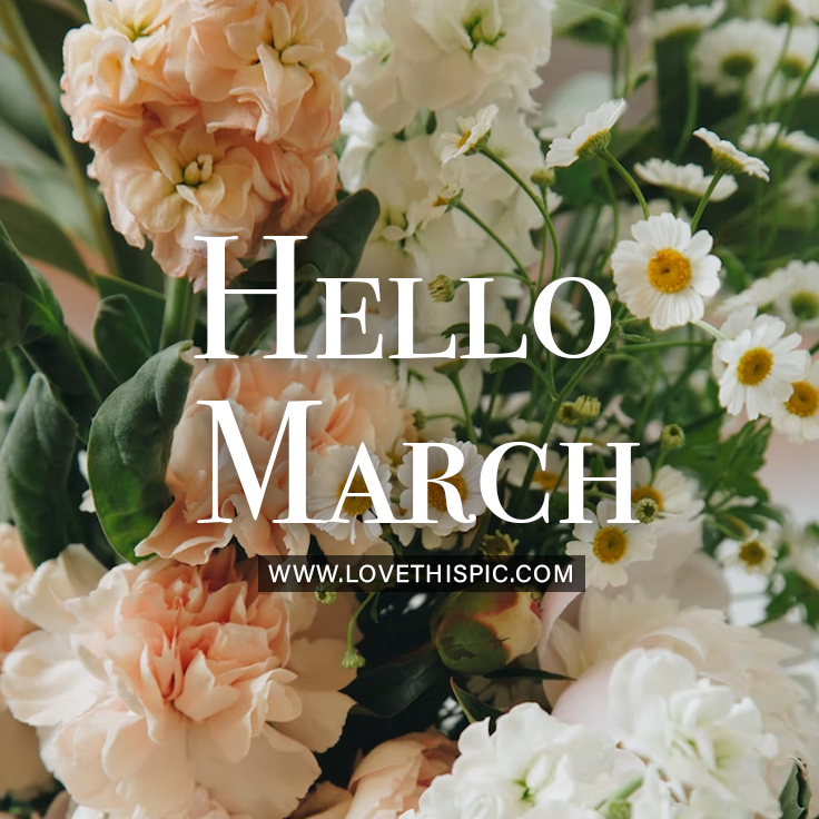 White And Beige Flowers - Hello March Quote Pictures, Photos, and ...