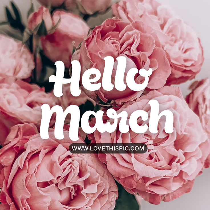 Hello March Quotes With Peonies Pictures, Photos, and Images for ...
