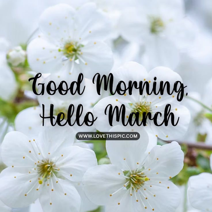 Good Morning, Hello March Pictures, Photos, and Images for Facebook ...