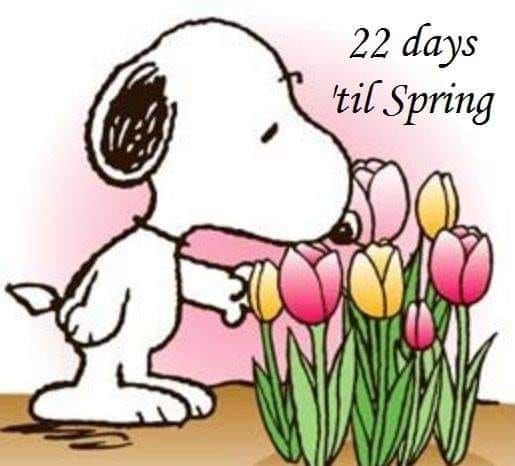 22 Days Til Spring Pictures, Photos, and Images for Facebook, Tumblr, Pinterest, and Twitter