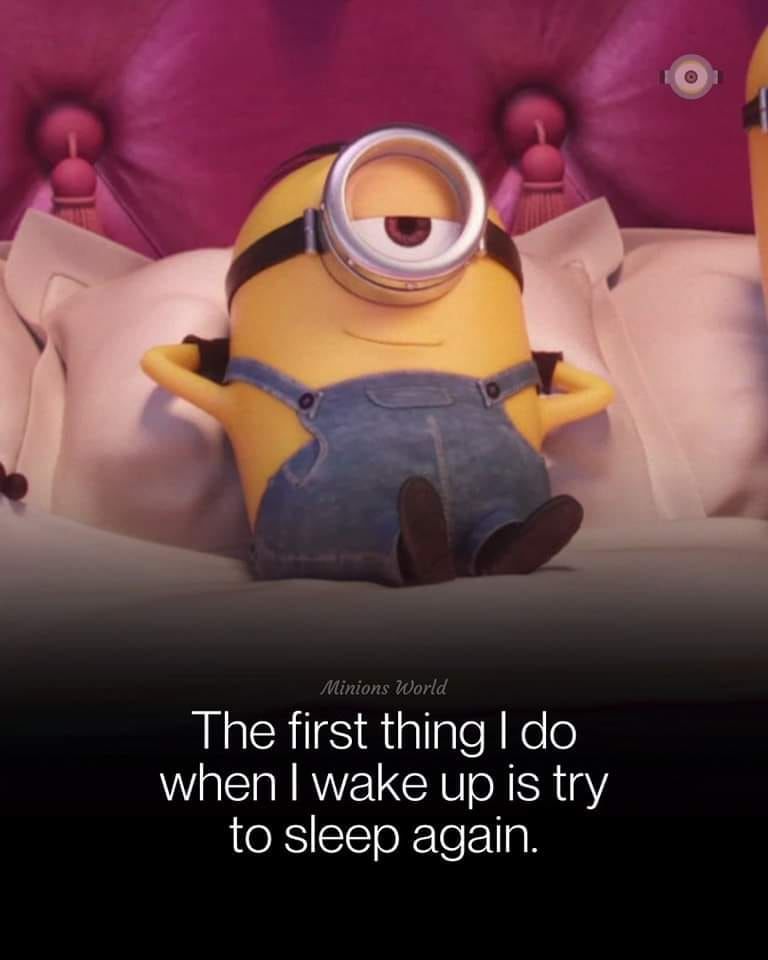 The First Thing I Do When I Wake Up Is Try To Sleep Again Pictures ...