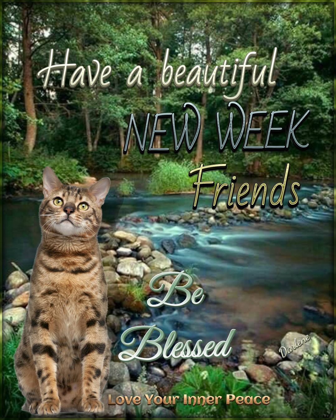 Have A Beautiful New Week Friends Pictures, Photos, and Images for ...