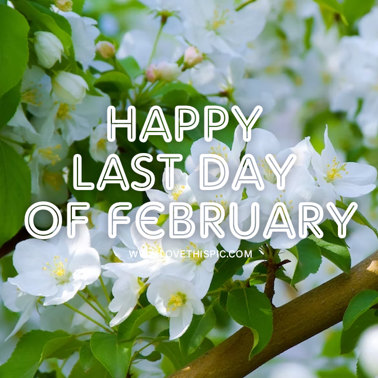 Happy Last Day Of February With White Flowers Pictures, Photos, and ...
