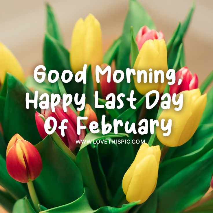 Yellow And Pink Tulips - Good Morning, Happy Last Day Of February ...