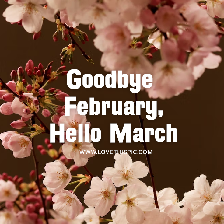 Vintage Cherry Blossoms - Goodbye February, Hello March Pictures ...